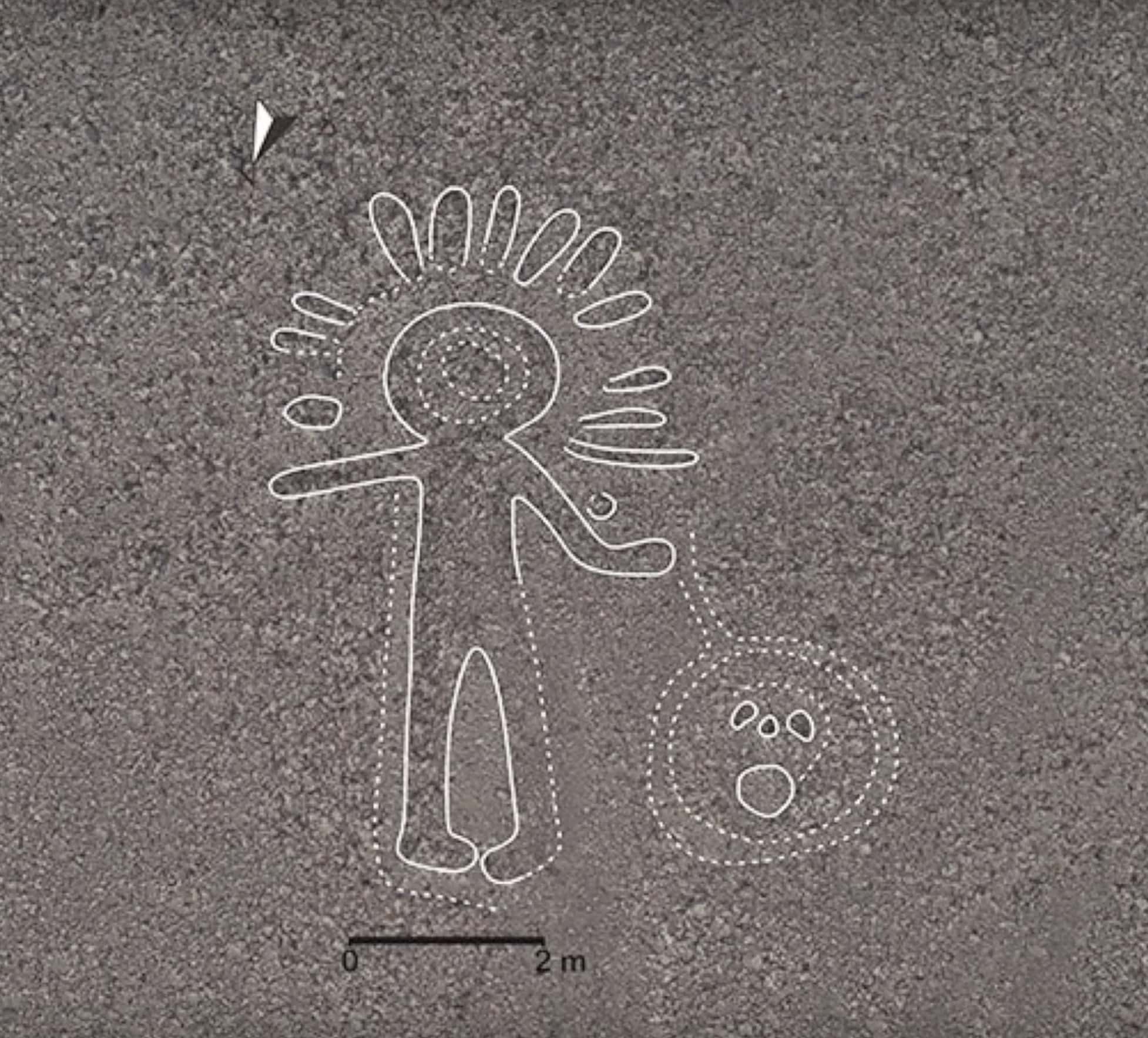 Researchers reveal 143 new Nazca Lines of strange humanoid beings and a ...